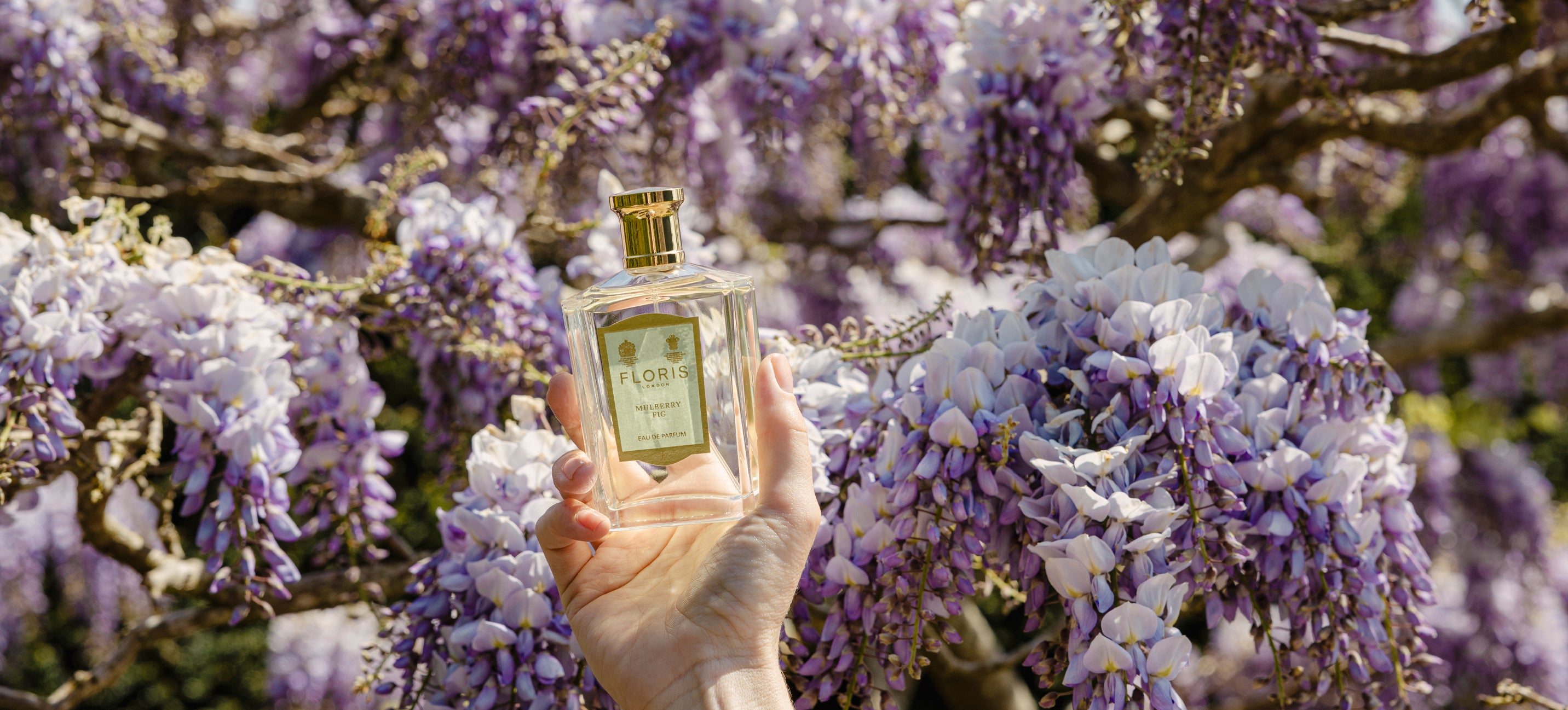 Floris London Europe | British Family Perfumers since 1730 – Floris ...